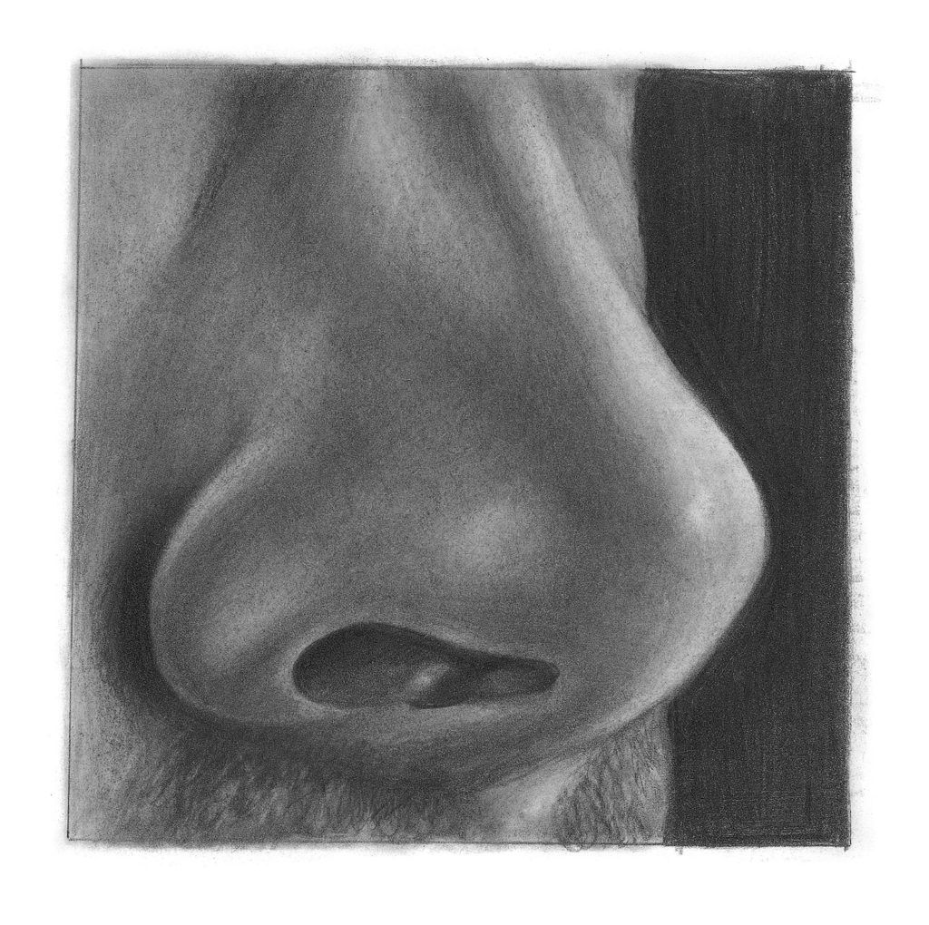 realistic side drawing