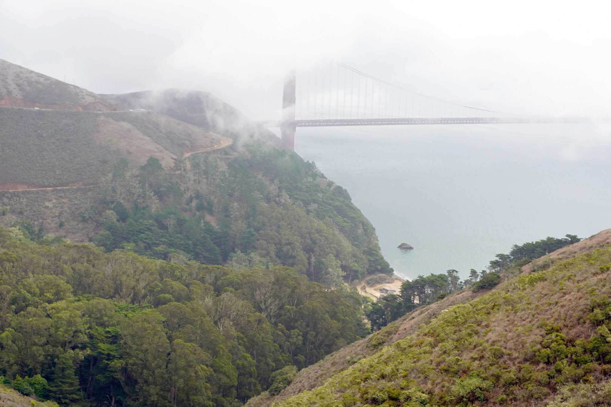 From Snapshot to Studio: Using Your Camera as a Creative Consultant ...